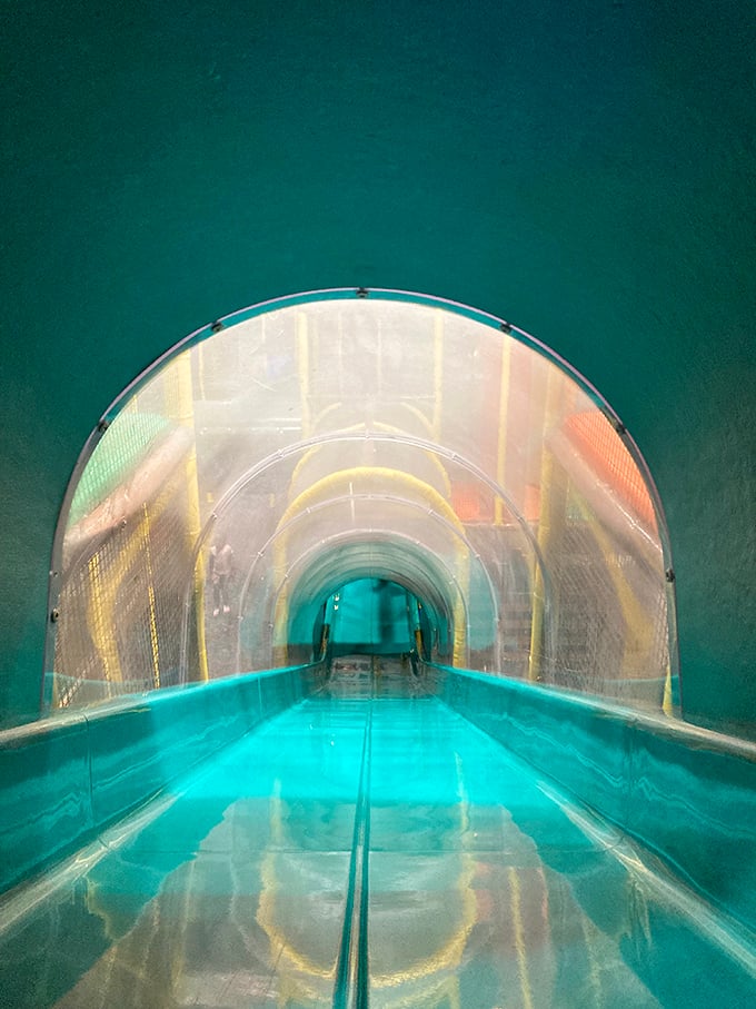 Slip and slide into a world of wonder! This tunnel is what I imagine it's like traveling through a wormhole... but more fun.