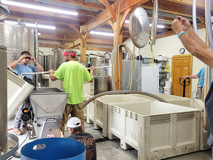 Grape minds think alike! These dedicated folks are the unsung heroes behind your wine-soaked adventures. Raise a glass to the masters of merlot!