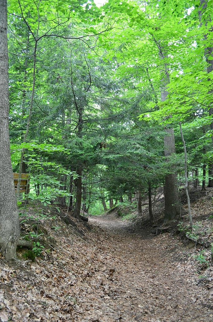 Follow the leafy yellow brick road! This trail promises adventures worthy of Oz, minus the flying monkeys and evil witches.