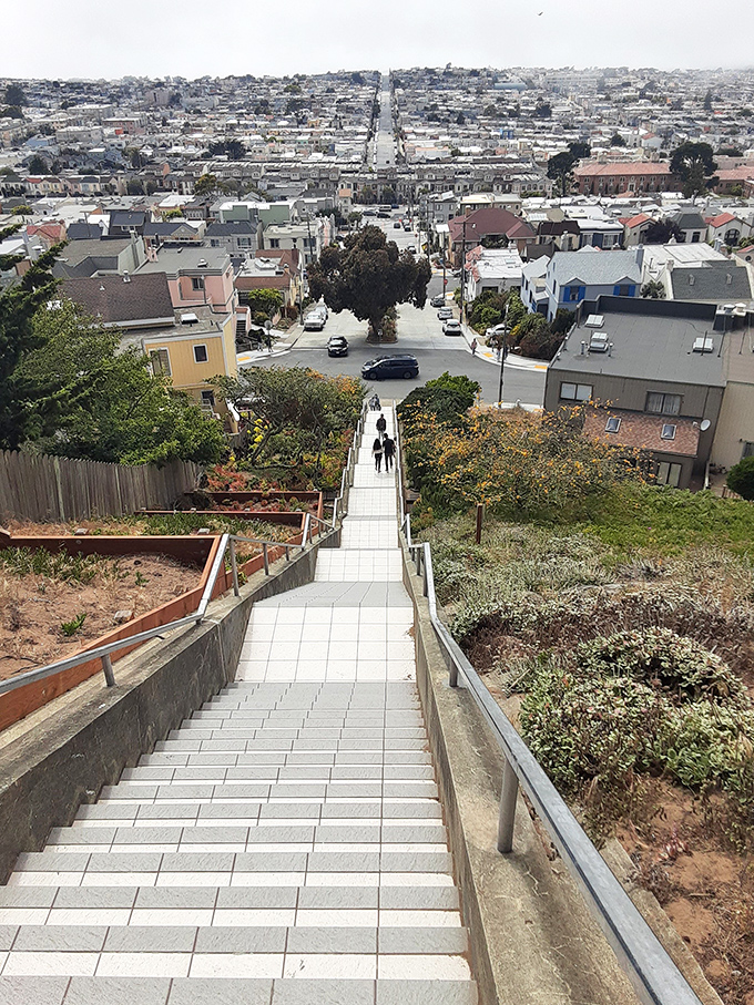 San Francisco, laid out like a patchwork quilt. From up here, you can almost hear Tony Bennett's heart gently weeping.