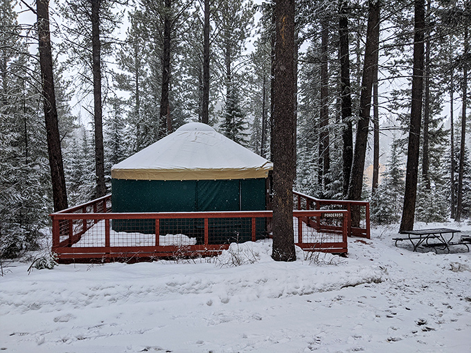Winter wonderland or oversized snow globe? This yurt looks cozier than a bear's den, minus the grumpy occupant.