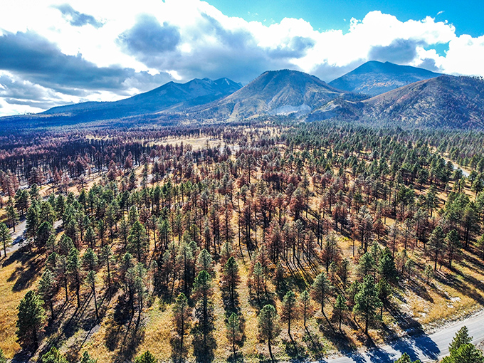 Bird's eye candy! This aerial view proves that Lockett Meadow is basically nature's way of showing off. Well played, Mother Earth.