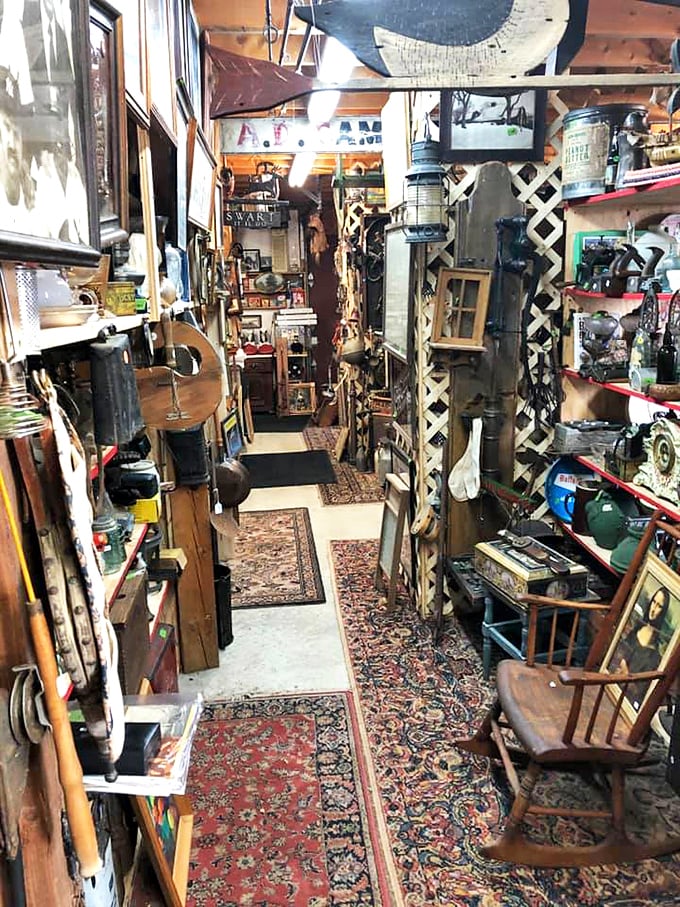 Indiana Jones would feel right at home here. This aisle is an archaeological dig through America's attic, no bullwhip required!