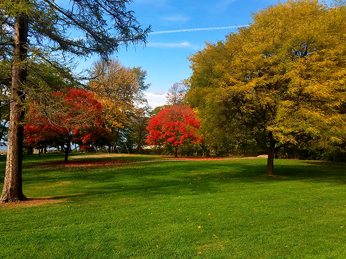 Fall's fashion show is in full swing! These trees are strutting their stuff in a dazzling display of reds and golds.