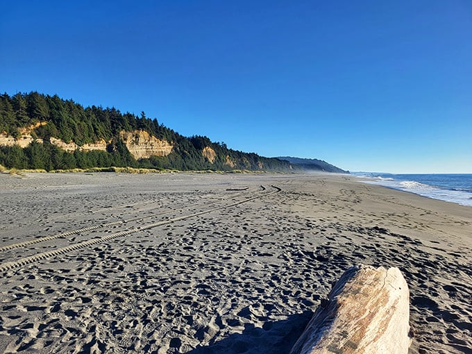 Beach, please! This stretch of sand is so pristine, it looks like Mother Nature just finished vacuuming.