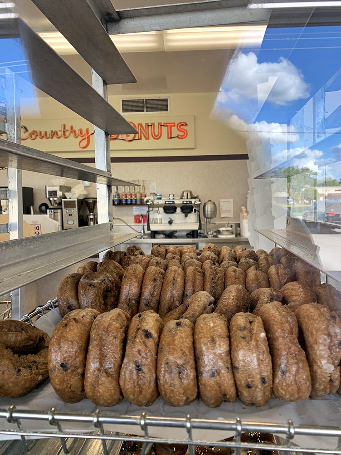 A blueberry explosion that would make Violet Beauregarde proud. This donut is so packed with fruity goodness, it's practically a health food. (Almost.)