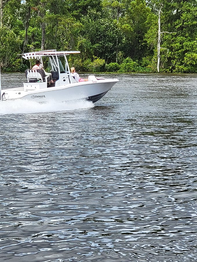 Boating bliss on the bayou. It's like a water-based safari, but instead of lions, you might spot a gator or two.