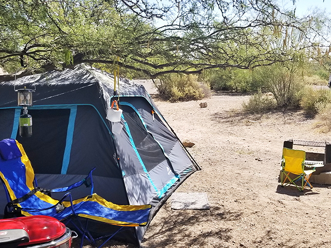 Home sweet dome! This tent setup is cozier than some New York apartments. And the rent? Just a camping fee.