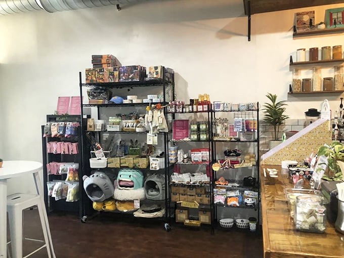 Kitty retail therapy! From cozy beds to quirky toys, this corner is a cat's dream come true &ndash; and a owner's wallet's nightmare.
