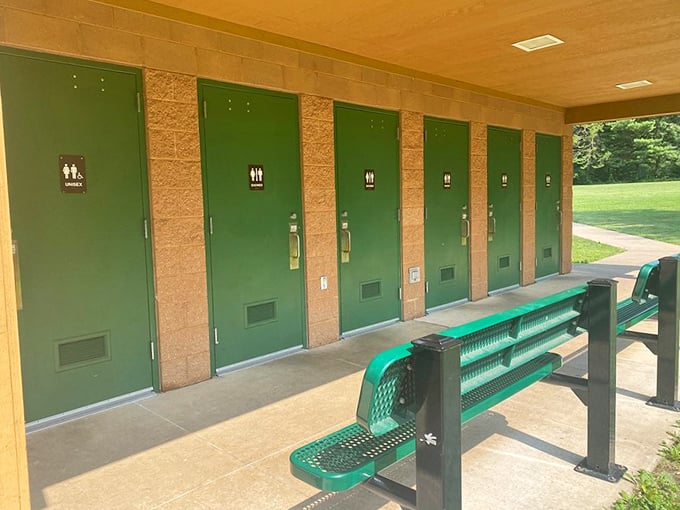The Ritz of restrooms: Where "answering nature's call" feels more like a spa day than a necessary pit stop. Pinky up while you wash!