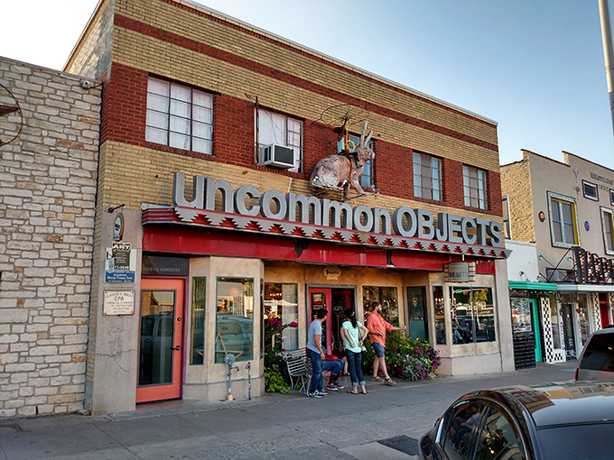 The facade may be brick and mortar, but inside lies a world of wonder. Step right up to the greatest show of oddities!