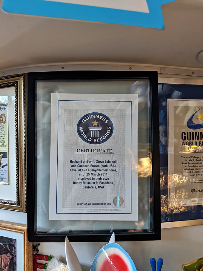 Guinness-certified bunny madness! This world record proves that sometimes, you can have too much of a good thing &ndash; or can you?