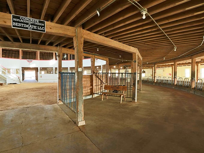 Welcome to the cow colosseum! This spacious interior could host everything from square dances to cow yoga &ndash; downward-facing bovine, anyone?
