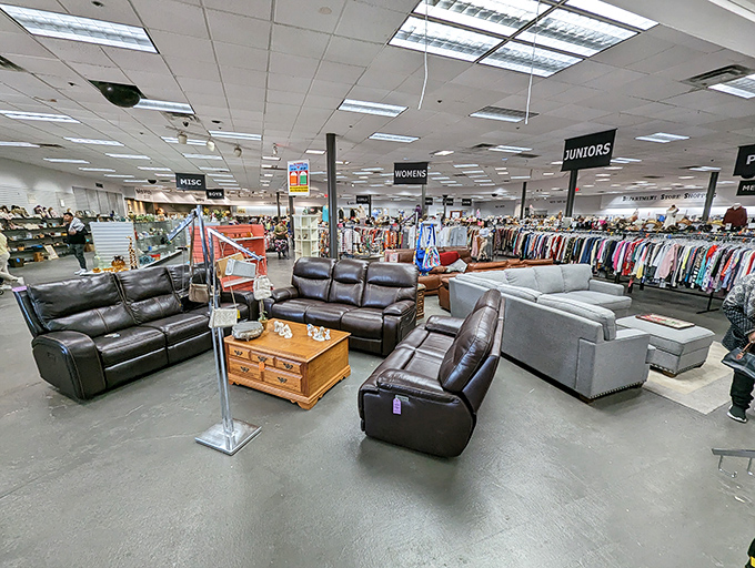 The thrift store jungle, where leather recliners roam free! This furniture savanna is perfect for testing your lounging skills before committing.