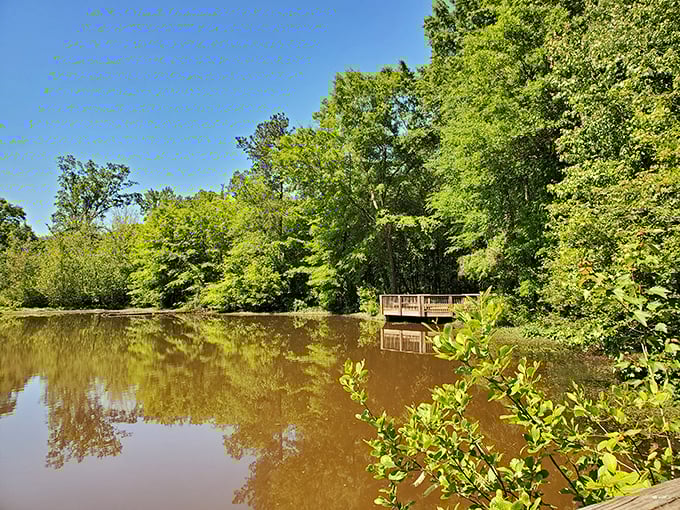 Lake views with a side of surreal. This picturesque deck invites contemplation &ndash; just don't be surprised if a doll head pops up to join you.