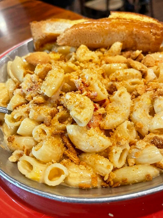 Mac and cheese, but make it fancy! This lobster-laden dish is what happens when comfort food puts on its party clothes.