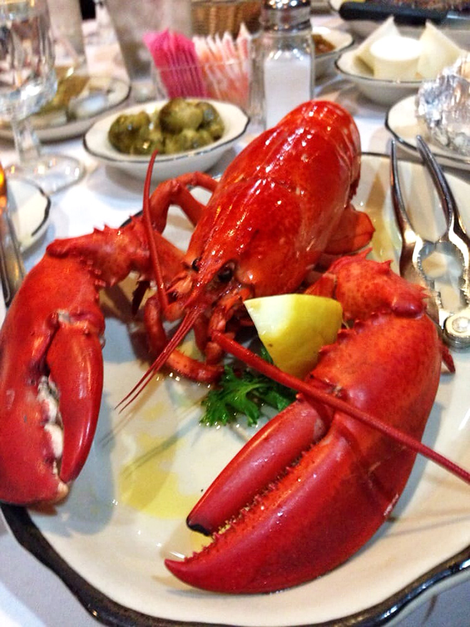 The Godzilla of seafood has arrived! This lobster is so impressive, it deserves its own action movie franchise.