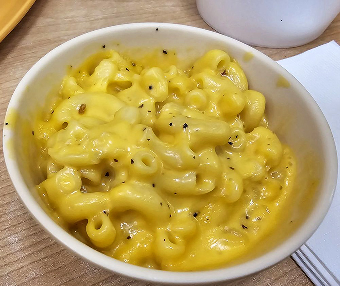 Mac 'n' cheese so creamy, it puts Vegas fountains to shame. Dive into this golden pool of cheesy goodness &ndash; no swimming skills required!