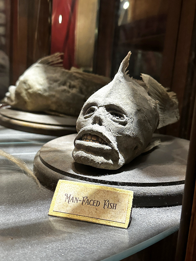 Something's fishy about this face! The man-faced fish gives new meaning to the phrase 'there are plenty of fish in the sea.'