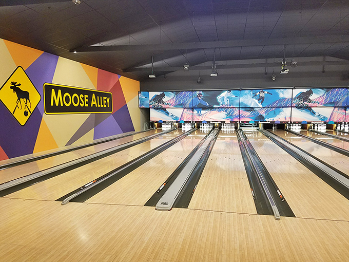 Inside Moose Alley: Proving that even moose know how to have a good time on a Saturday night.