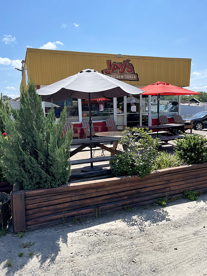 Al fresco dining, Jay's style! These picnic tables are perfect for soaking up some sun while you soak up that savory chicken goodness.