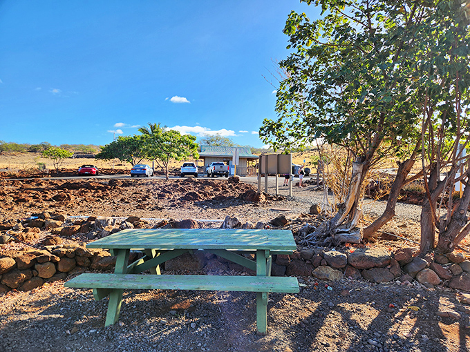 Picnic table with a view: The perfect spot for a sandwich and a side of "pinch me, I must be dreaming."