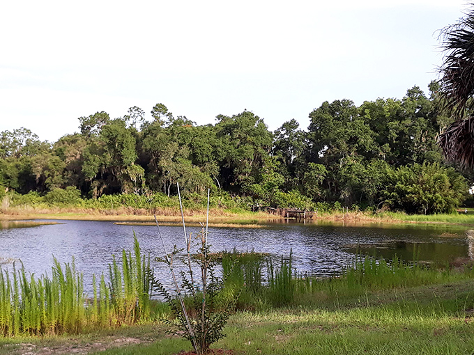 Is that a serene pond or a portal to another dimension? In Cassadaga, you never can tell.
