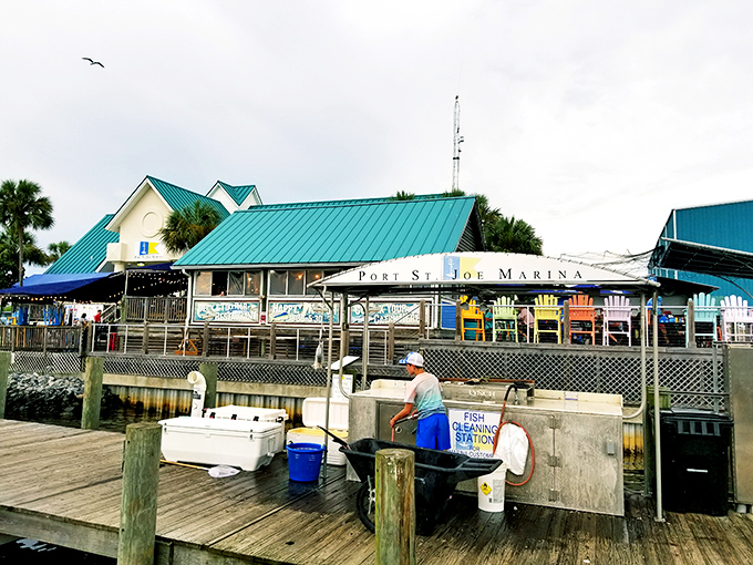 Port St. Joe Marina: where boats come to rest and fishermen come to brag. It's like a parking lot, but with better stories and a slight chance of hooking your dinner.