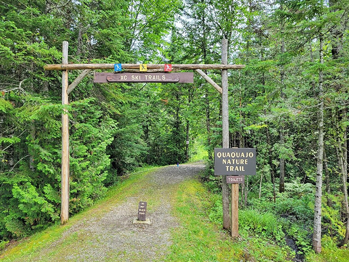 "Lions and tigers and bears, oh my!" Just kidding, but this trail does promise a wild ride through Aroostook's natural wonders.