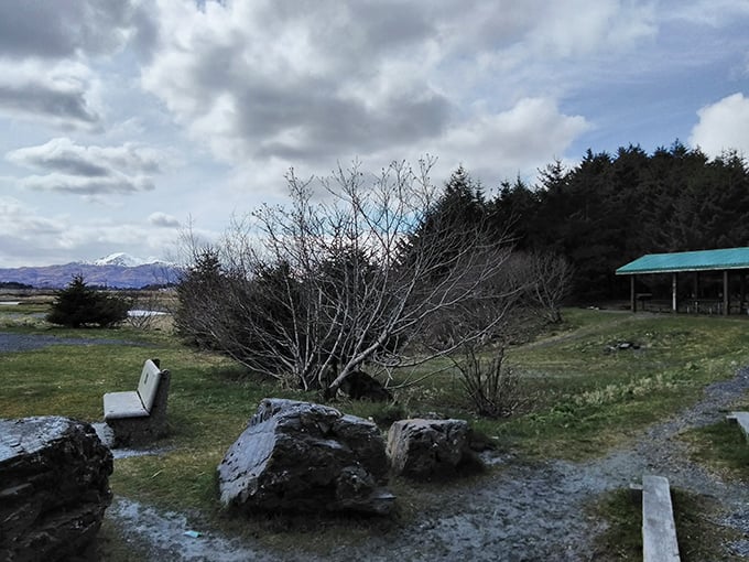 Nature's living room: Pull up a rock and stay awhile. The view's better than any 4K TV show.