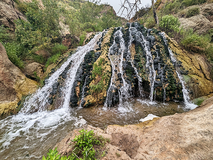 Not all waterfalls need to be Niagara-sized to impress. This petite cascade is like nature's own water feature - no installation required!
