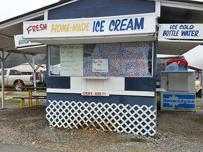 I scream, you scream, we all scream for... homemade ice cream! This little stand is serving up scoops of pure, creamy nostalgia.