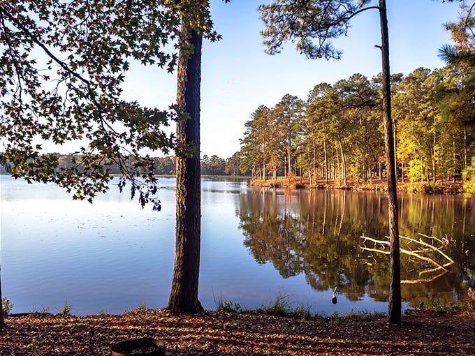 Golden hour glory! This sunset scene is like Mother Nature's own light show, no special effects needed.