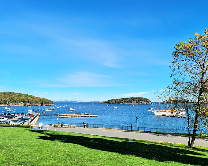The Town Pier: where "fresh off the boat" isn't just a saying, it's lunch. Seafood so good, you'll be tempted to hug a fisherman.