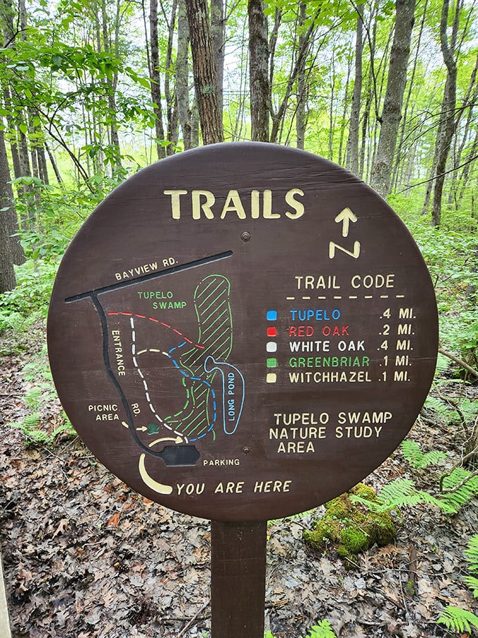 Choose your own adventure: Ferry Beach edition. This trail map is like a real-life game of Candy Land, but with more trees and fewer cavities.