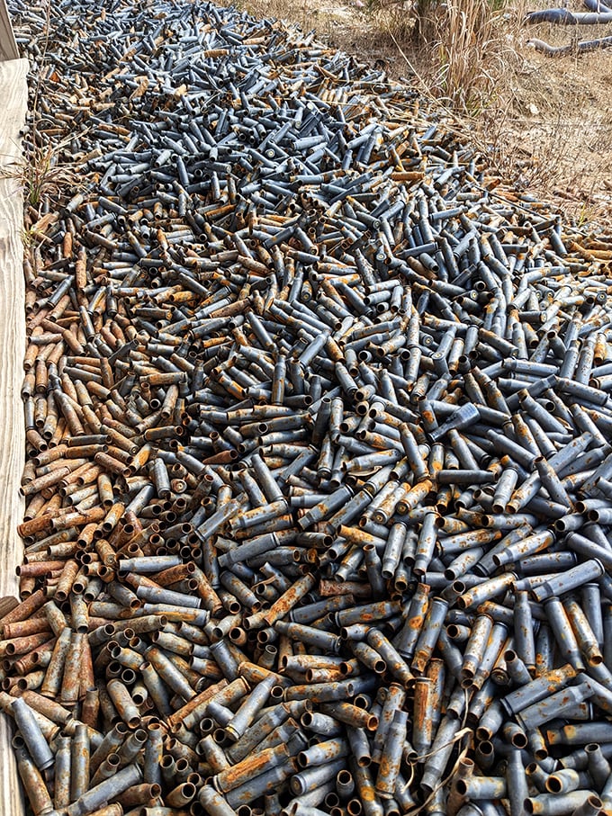 These aren't your average Tic Tacs. A sea of spent shells paints a picture of exhilarating, controlled chaos.