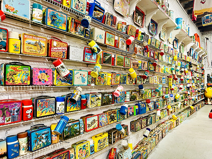 It's not hoarding if it's historic! This vast collection is like a 3D encyclopedia of pop culture, one lunch box at a time.