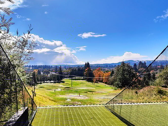View: Is this heaven? No, it's Healdsburg! This vista could make even the most jaded city slicker consider a career change to vintner.