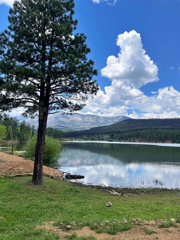 Nature's screensaver comes to life. This postcard-perfect view of Morphy Lake will make you want to pinch yourself to make sure you're not dreaming.