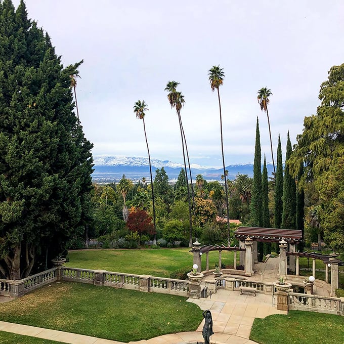 Room with a view? More like grounds with a view! Soak in the SoCal scenery from this terrace &ndash; palm trees, mountains, and all.