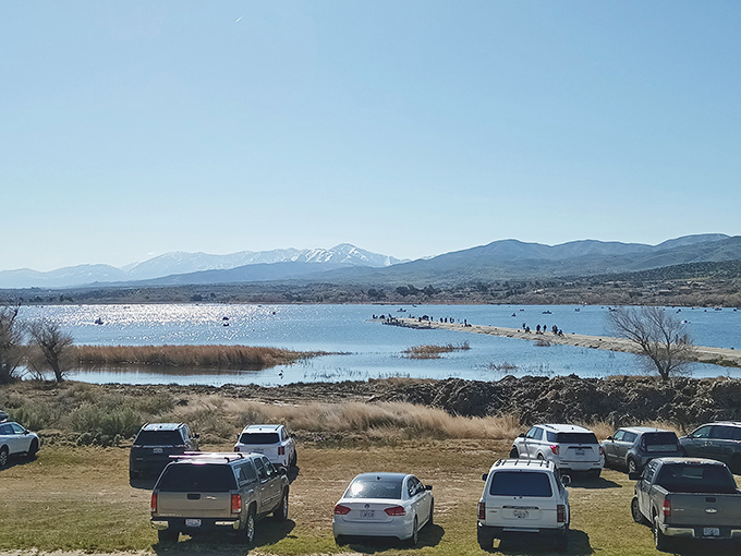 A room with a view! From up here, you can see forever&hellip; or at least until the next poppy-covered hill.