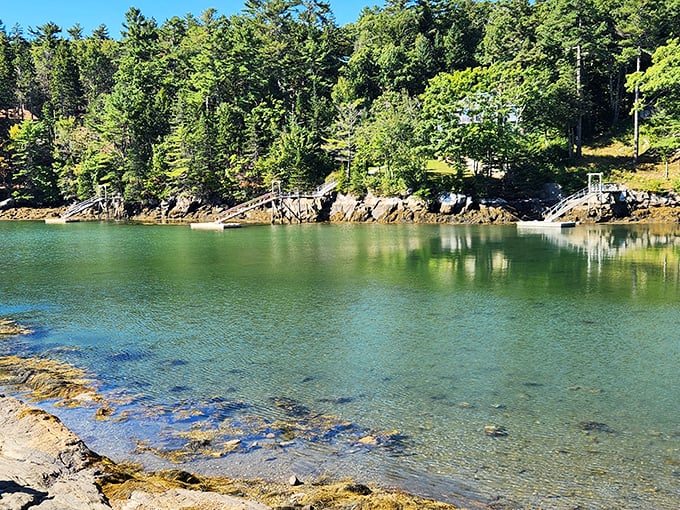 Postcard perfection: If Bob Ross and Monet collaborated on a landscape, this view would be the result. Happy little trees indeed!