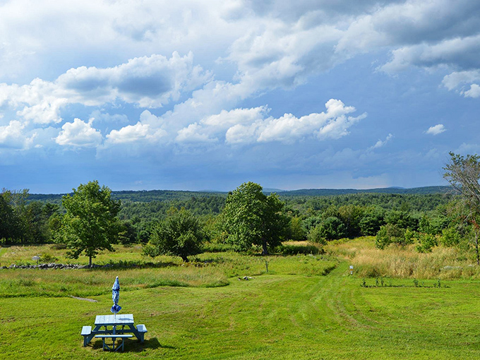 A view that pairs perfectly with every sip. Rolling hills and puffy clouds create a landscape so idyllic, you'll swear you're inside a painting.