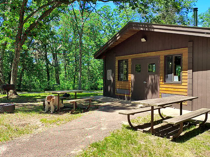 Welcome to Crow Wing's VIP lounge! It may not have a red carpet, but it's got more natural beauty than all of Hollywood combined.