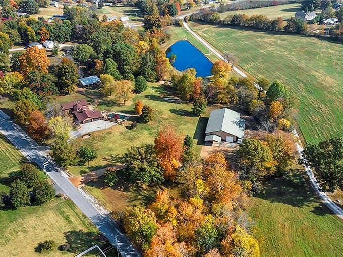 Makanda from above: A patchwork quilt of autumn colors, country roads, and hidden treasures. Time to plan a road trip, folks!