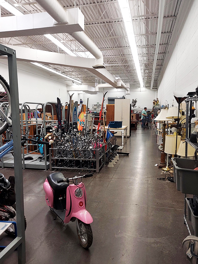 "Down the rabbit hole of retail therapy! Alice would be amazed at the wonderland of whatchamacallits and thingamajigs."