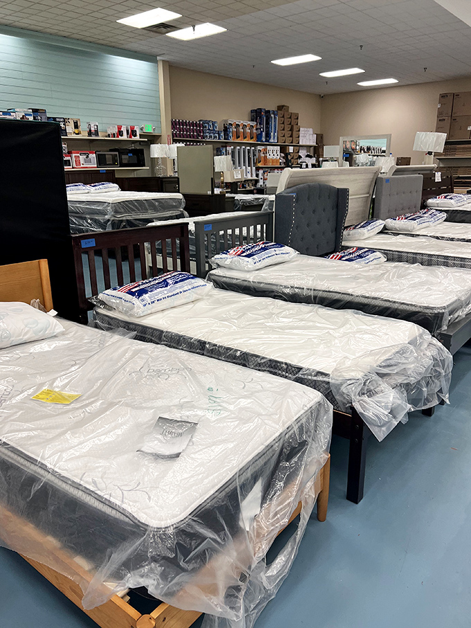 Sweet dreams are made of these! From cozy twins to luxurious kings, these beds are ready to cradle you into dreamland.