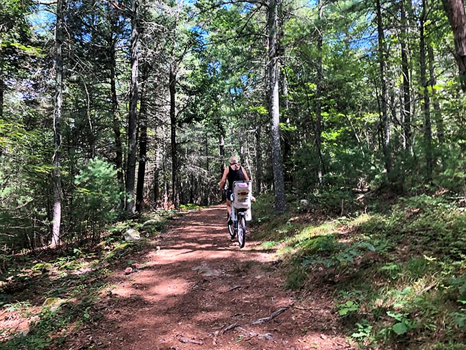 Two-wheeled adventure awaits! It's like the Tour de France, but with more trees and less spandex.