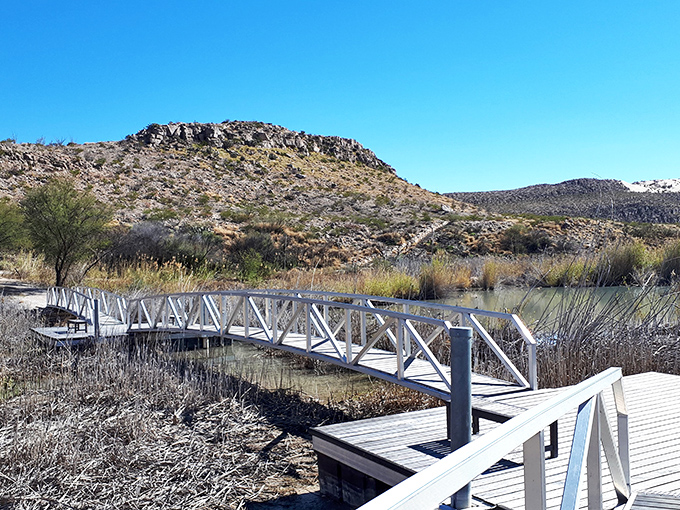 Bridge over not-so-troubled waters. This boardwalk offers a stroll through nature without getting your boots muddy &ndash; now that's luxury!