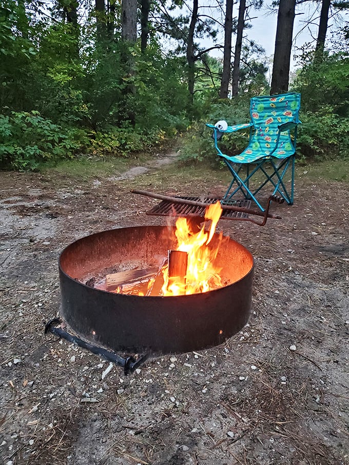 S'more fun awaits! This campfire scene is like a siren call for marshmallow enthusiasts and ghost story aficionados alike.